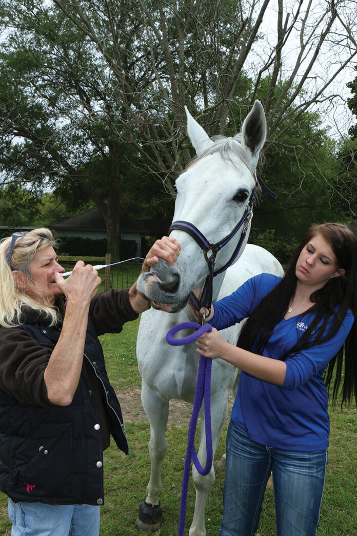 An Overview of Strangles in Horses - Horse Illustrated