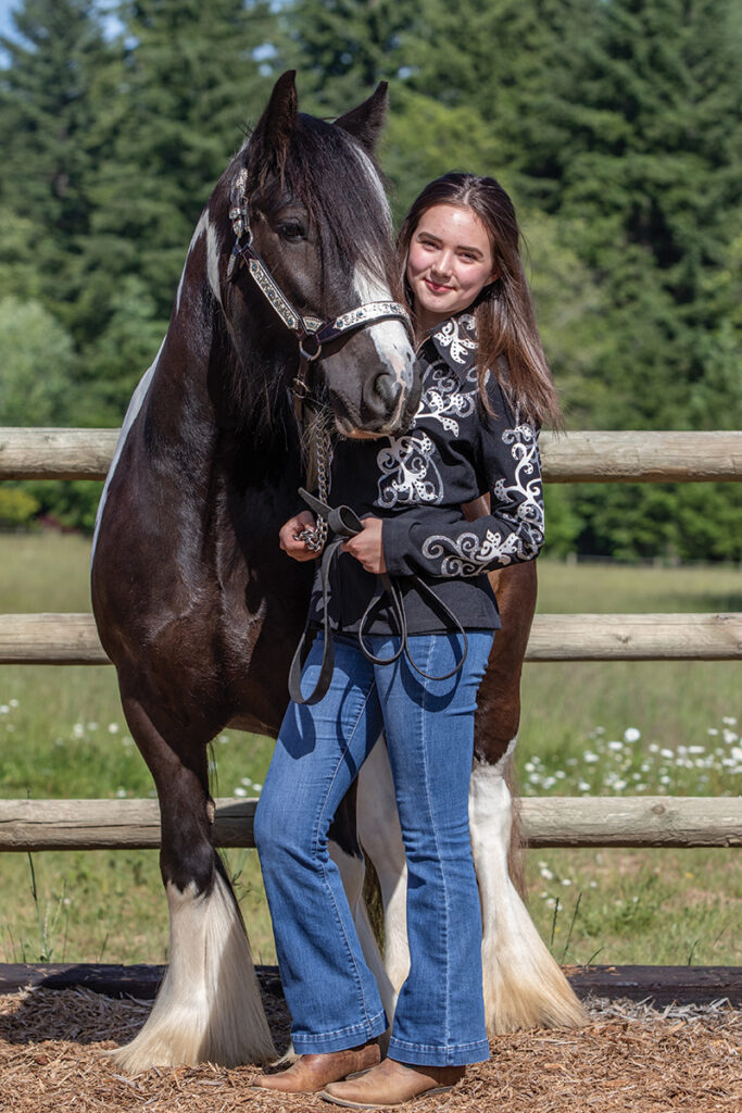 Breed Portrait: Gypsy Vanner - Horse Illustrated