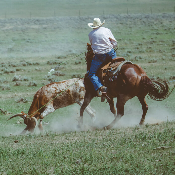 Cowboying: Modern Day Freelance Cowboys - Horse Illustrated