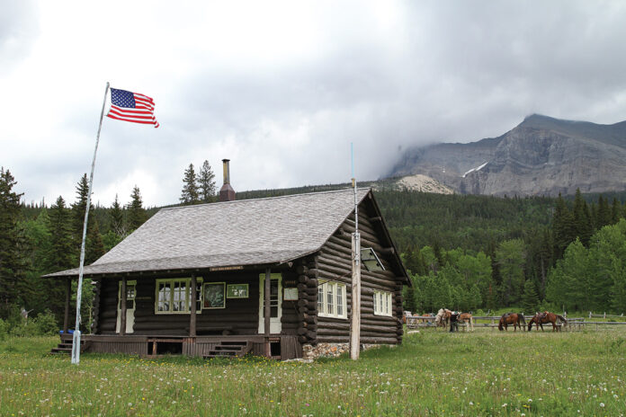 The Working Mules of our Public Lands - Horse Illustrated