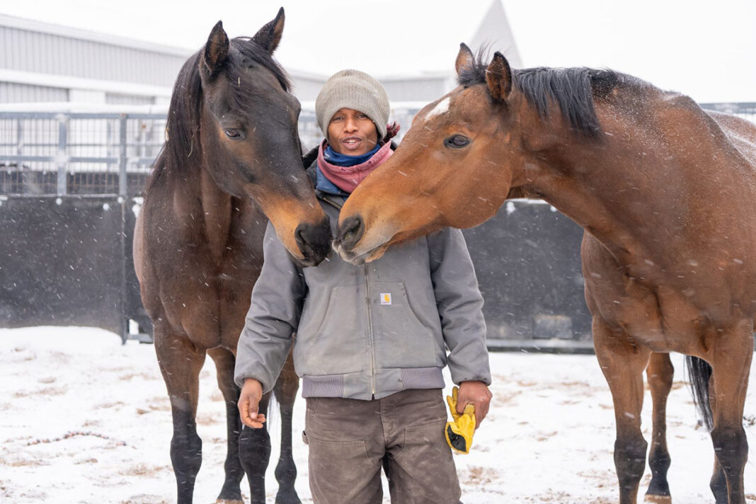 What is Trauma-Informed Horsemanship? - Horse Illustrated
