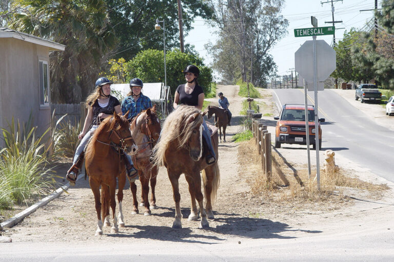 Urban Trail Riding - Horse Illustrated