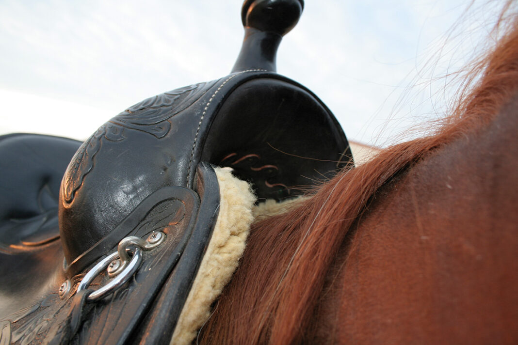 Western Saddle Fit Made Simple - Horse Illustrated