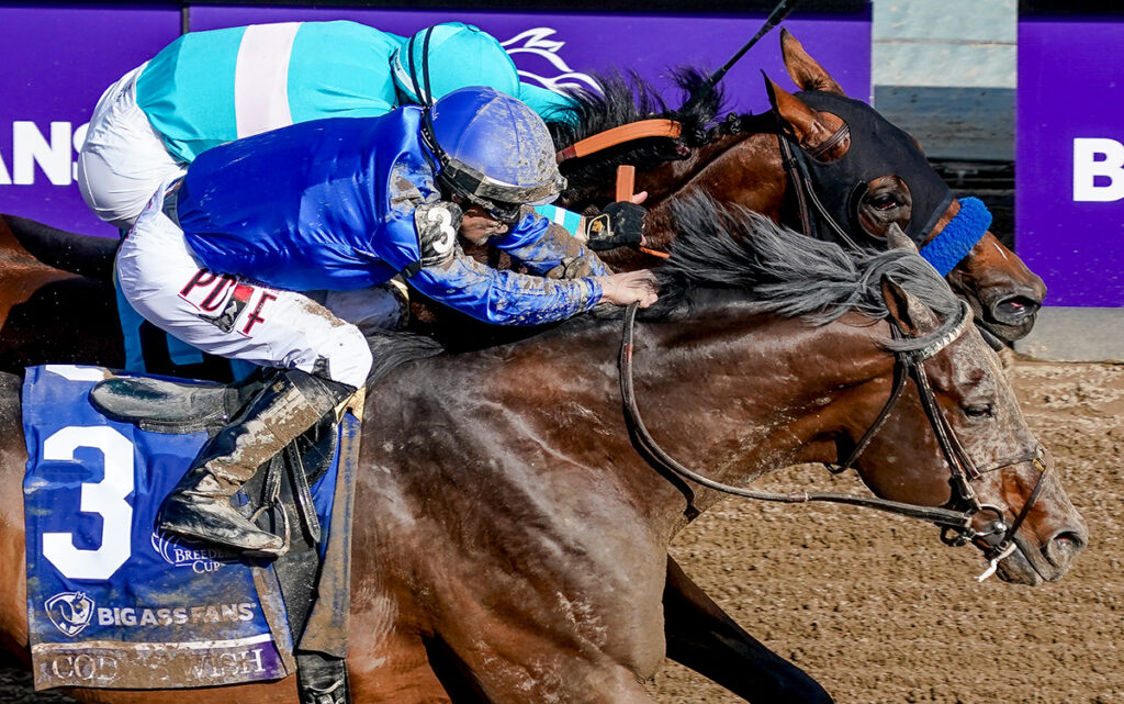 Cody Dorman passes away after Breeders' Cup - Horse Illustrated