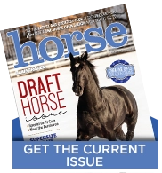 The American Saddlebred - Horse Illustrated