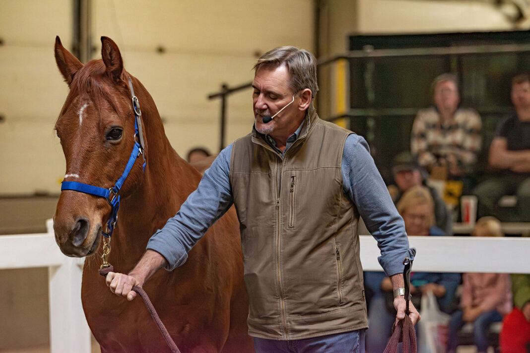 Equine Affaire Massachusetts 2024 Recap - Horse Illustrated