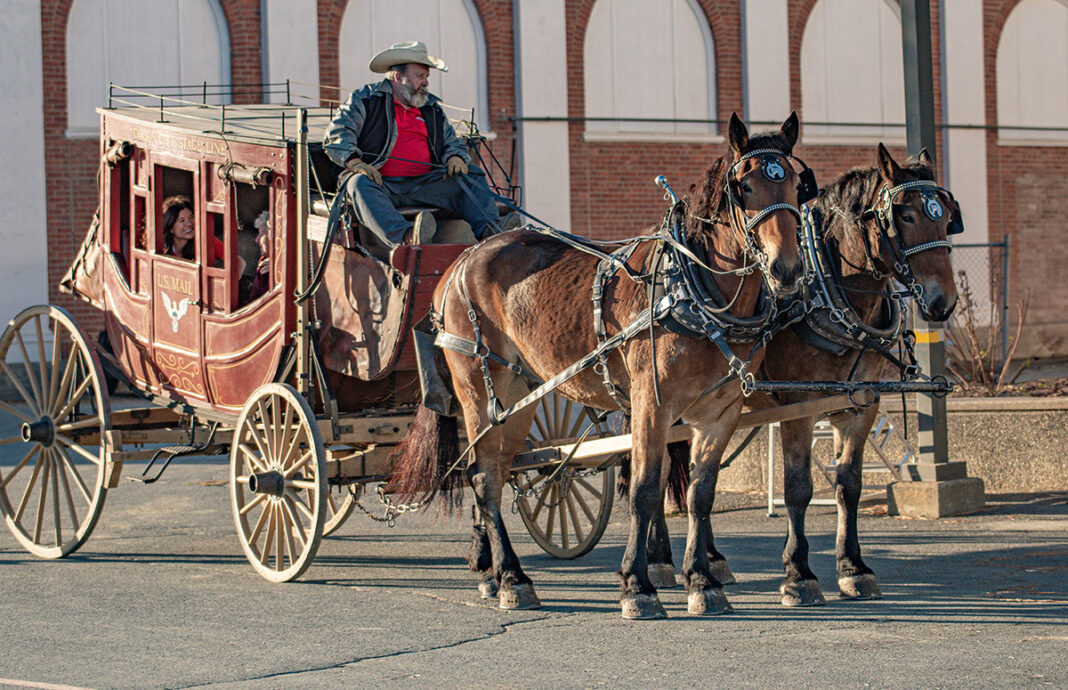 Equine Affaire Massachusetts 2024 Recap - Horse Illustrated
