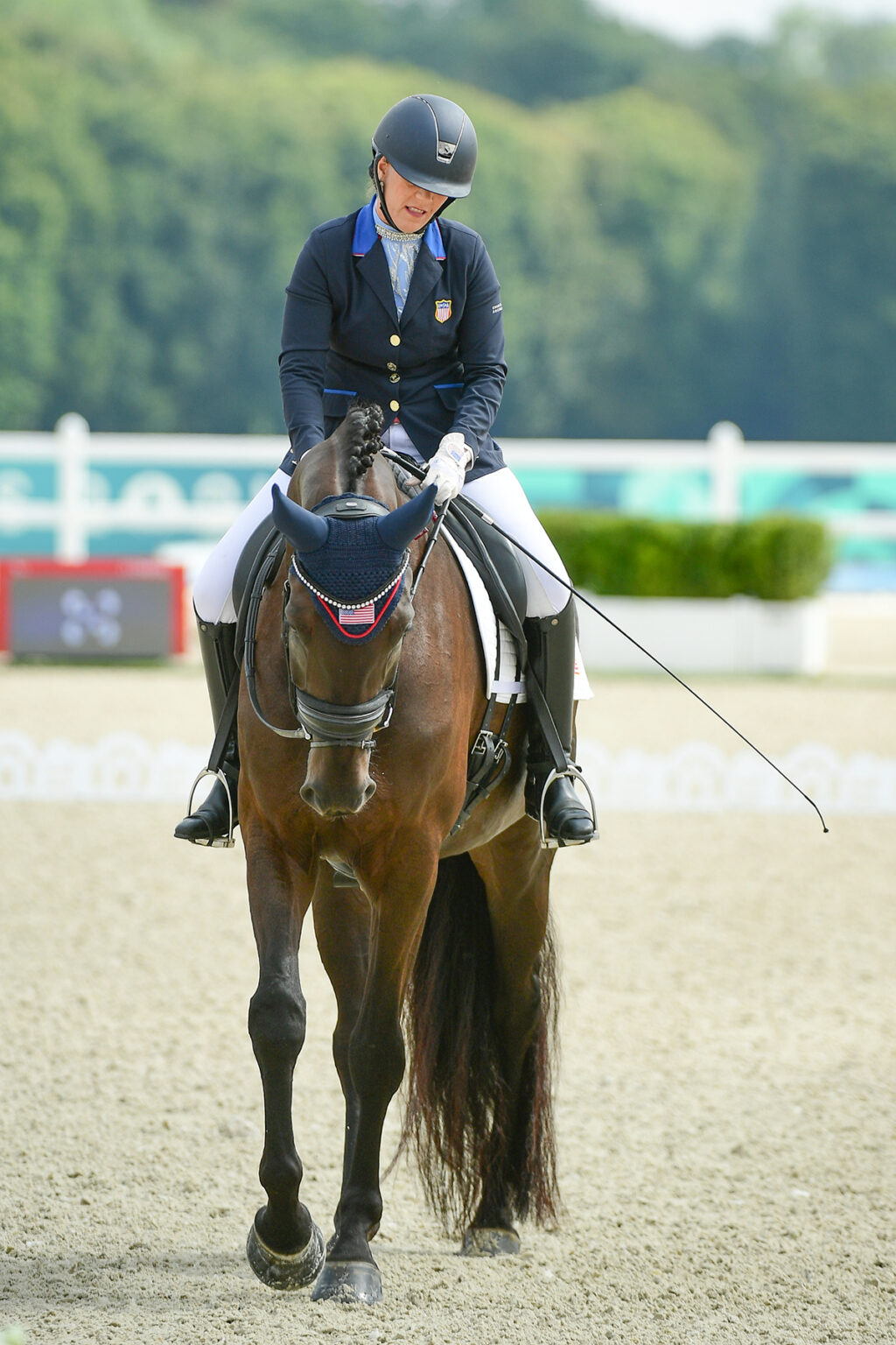 Paris 2024 Paralympics: Grade I Freestyle Para Dressage Results