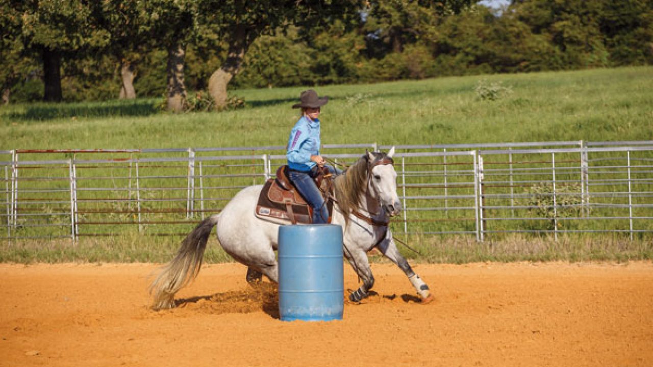 Horse Barrel Racing Games Online Free - File Barrel Racer 18143236531 ...