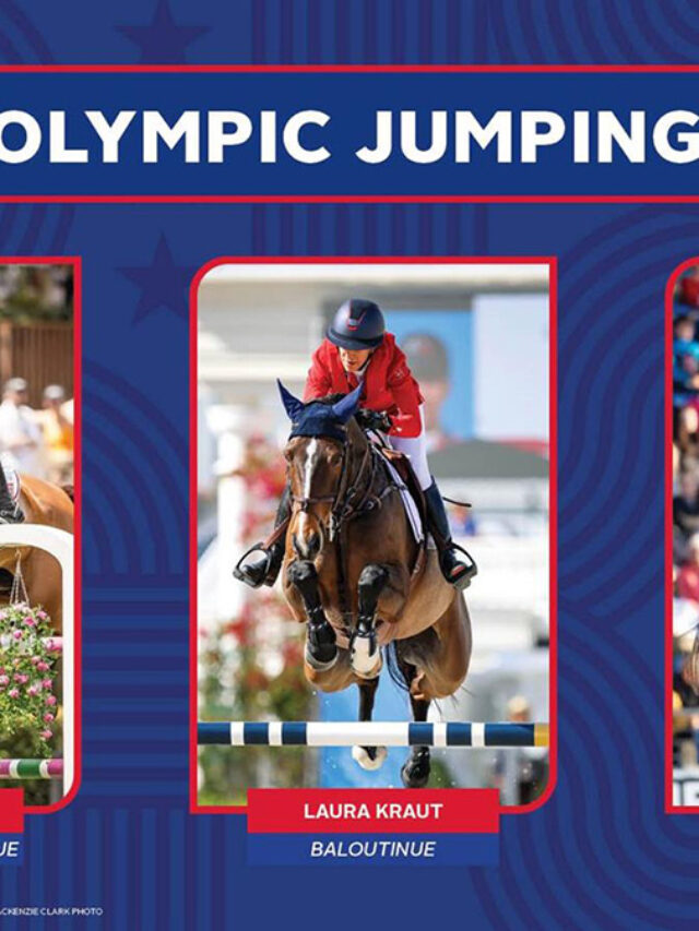2024 Paris Olympics: Show Jumping Team Final Results - Horse ...