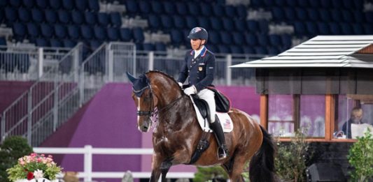 A Comprehensive Article on English Bits by Horse Illustrated