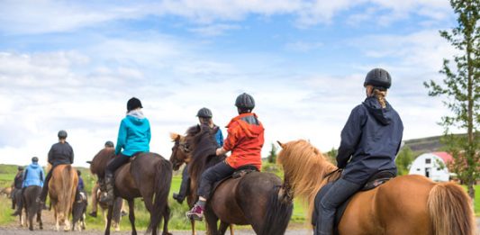 30 Tips for Better Trail Riding - Horse Illustrated